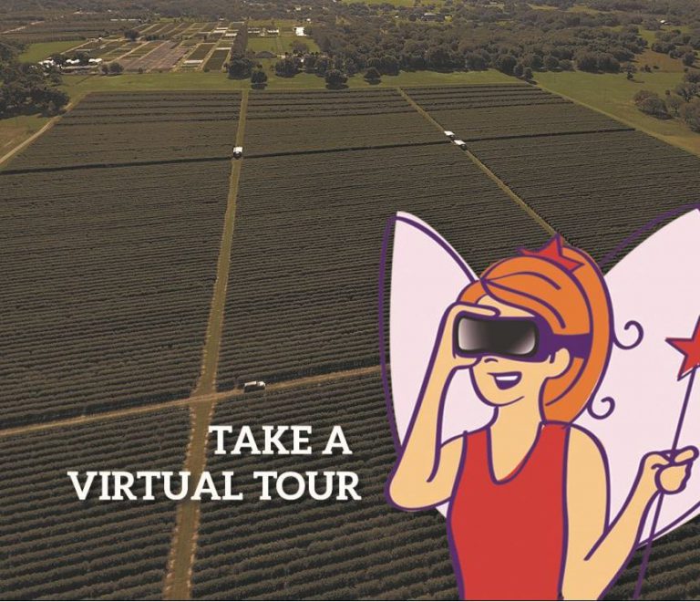 Virtual Farm Tour Experience Wish Farms | Florida Berry Growers