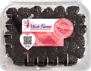 How to Make your Blackberries Last Longer - Wish Farms