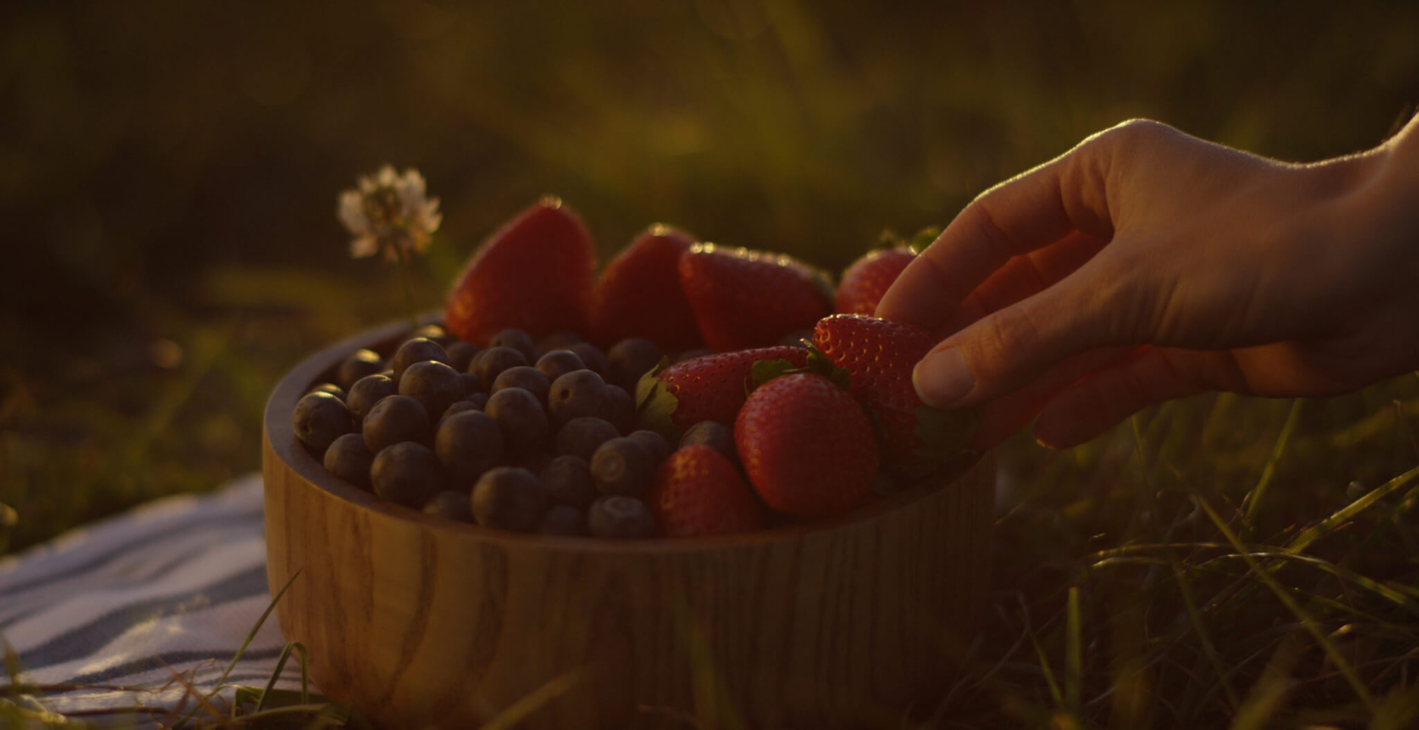Berry Grower and Shipper since 1922 | The Wish Farm’s Story