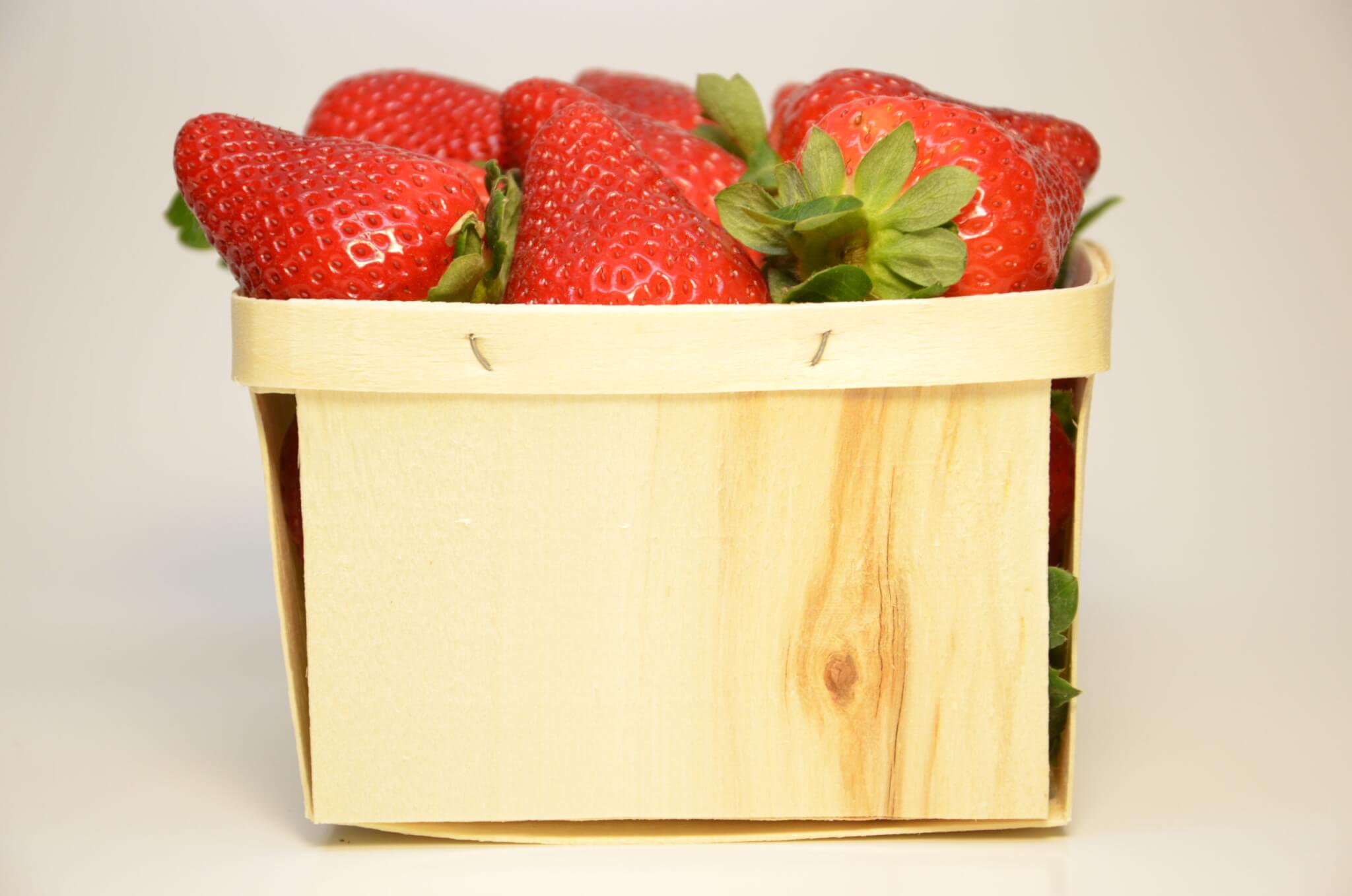 Berry Grower and Shipper since 1922 | The Wish Farm’s Story