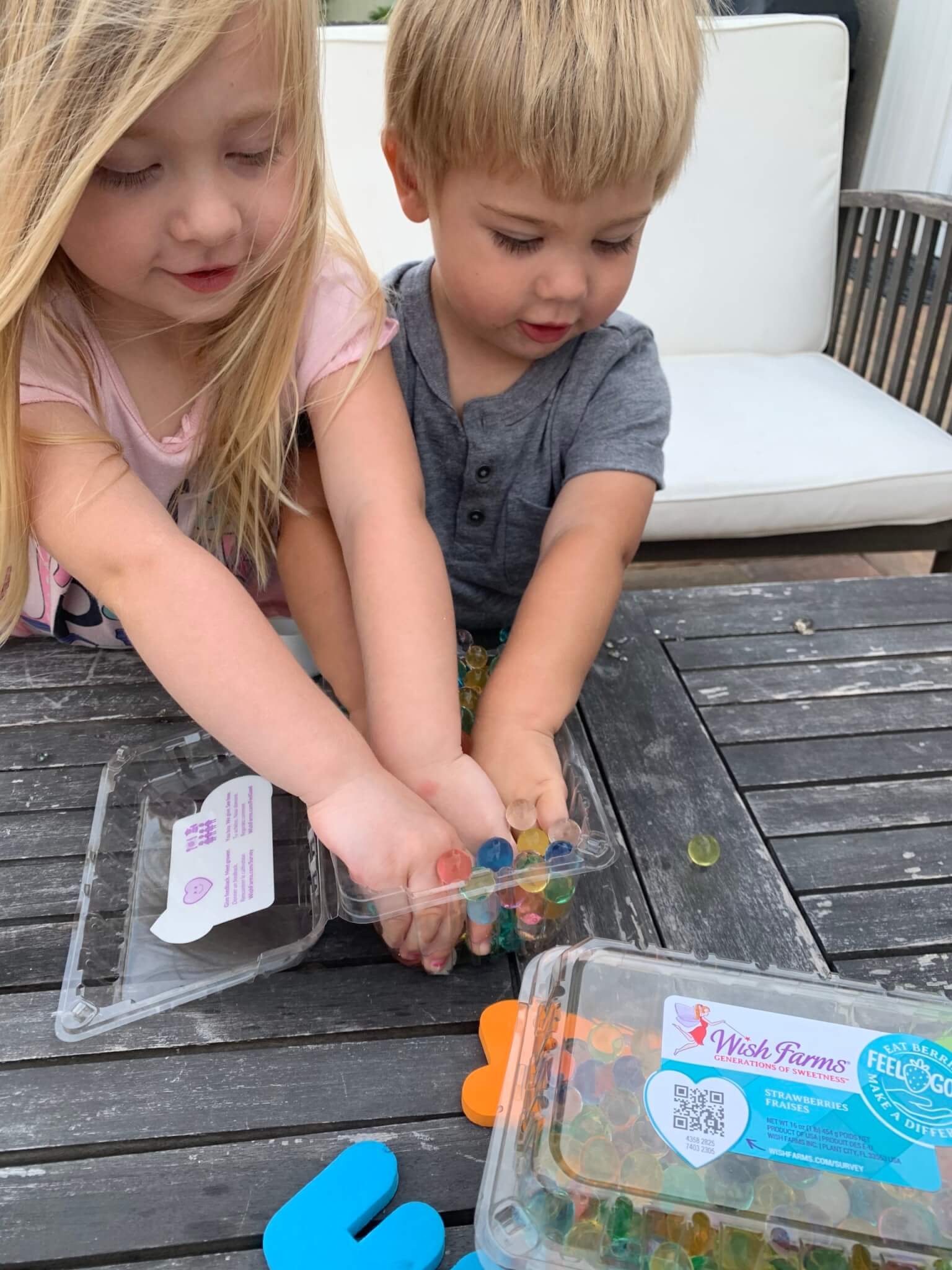 Berry Container Craft for Kids- Sensory - Wish Farms