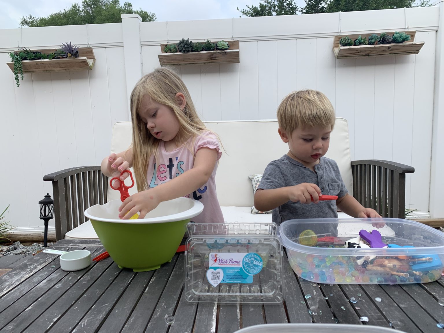Berry Container Craft for Kids- Sensory - Wish Farms