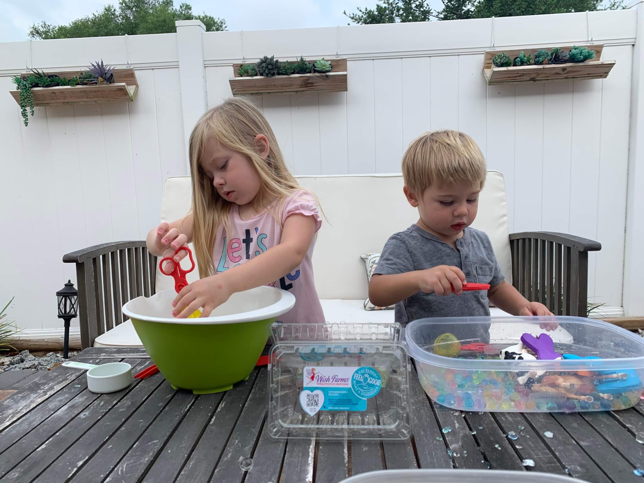 Berry Container Craft for Kids- Sensory - Wish Farms