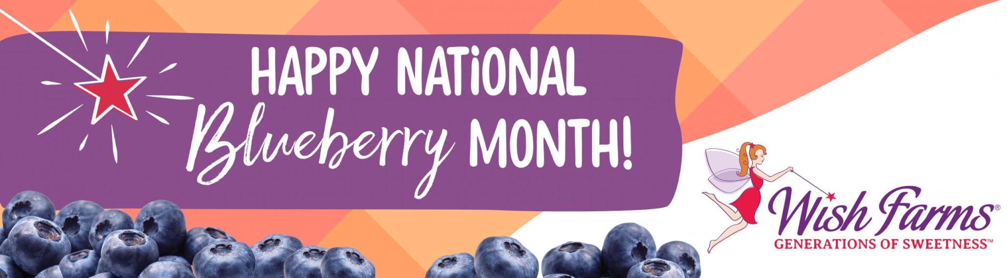 Happy National Blueberry Month | Wish Farms Blueberry Recipes