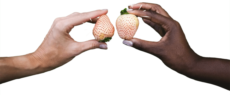 Pink-A-Boo® Pineberries | White Strawberries | Wish Farms