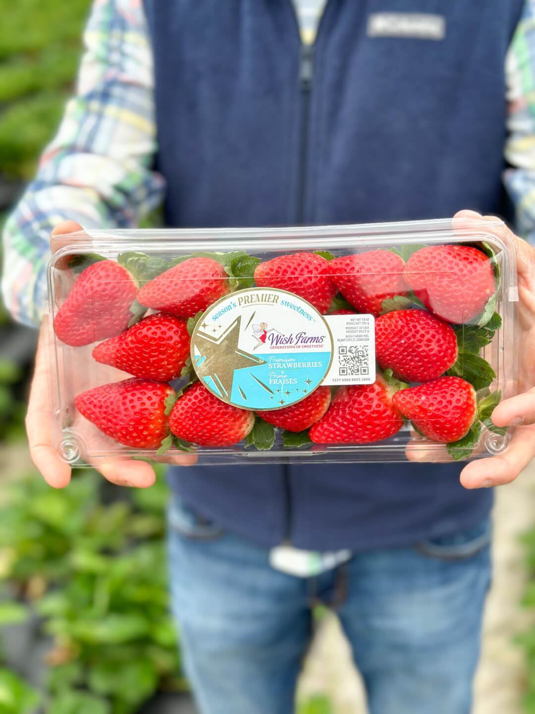 StarBerries™ - Wish Farms