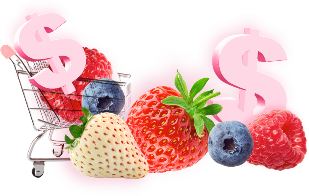 Wish Farms: Year-Round Berry Grower and Shipper