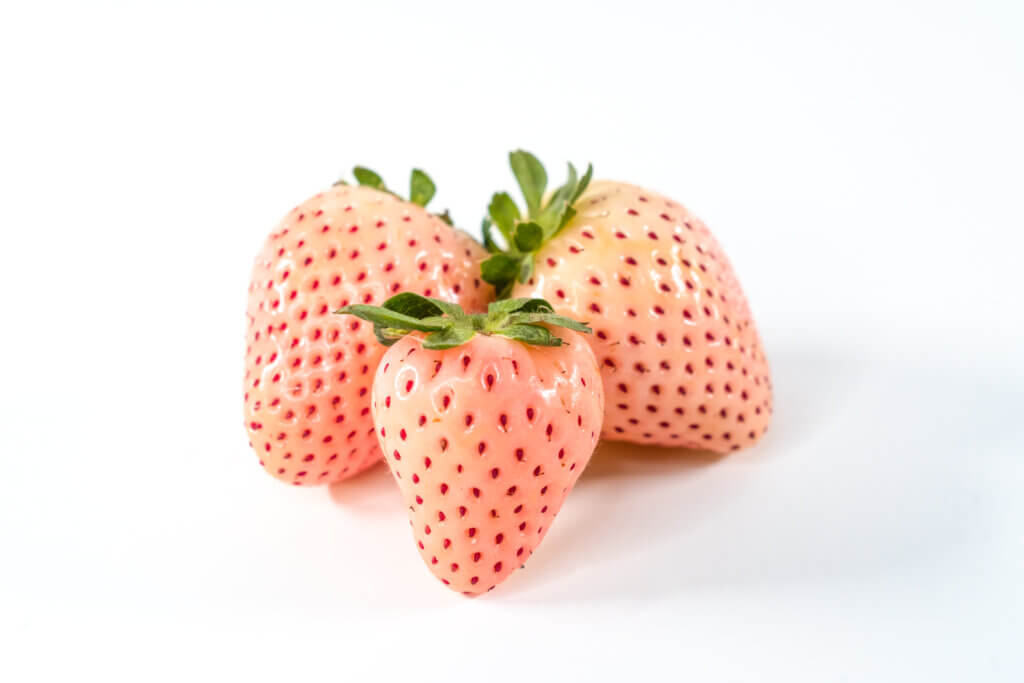 Wish Farms' White Strawberry: What is a Pineberry? I Wish Farms