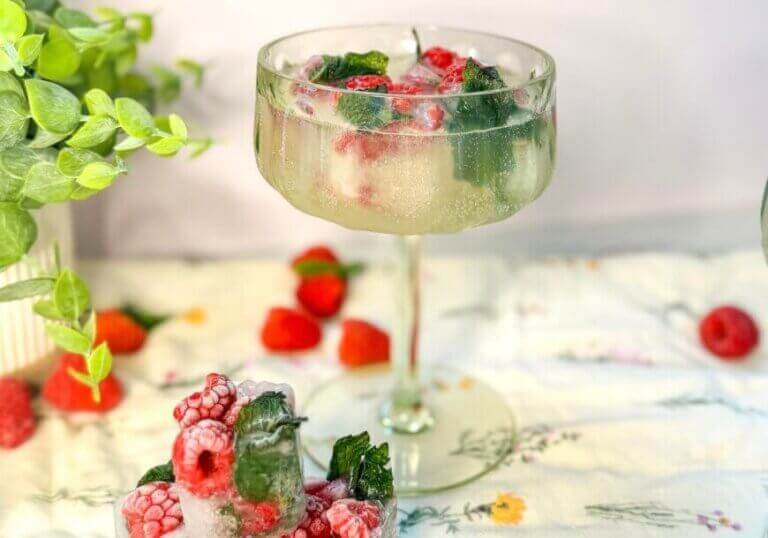 Raspberry Mint Ice Cubes - Wish Farms